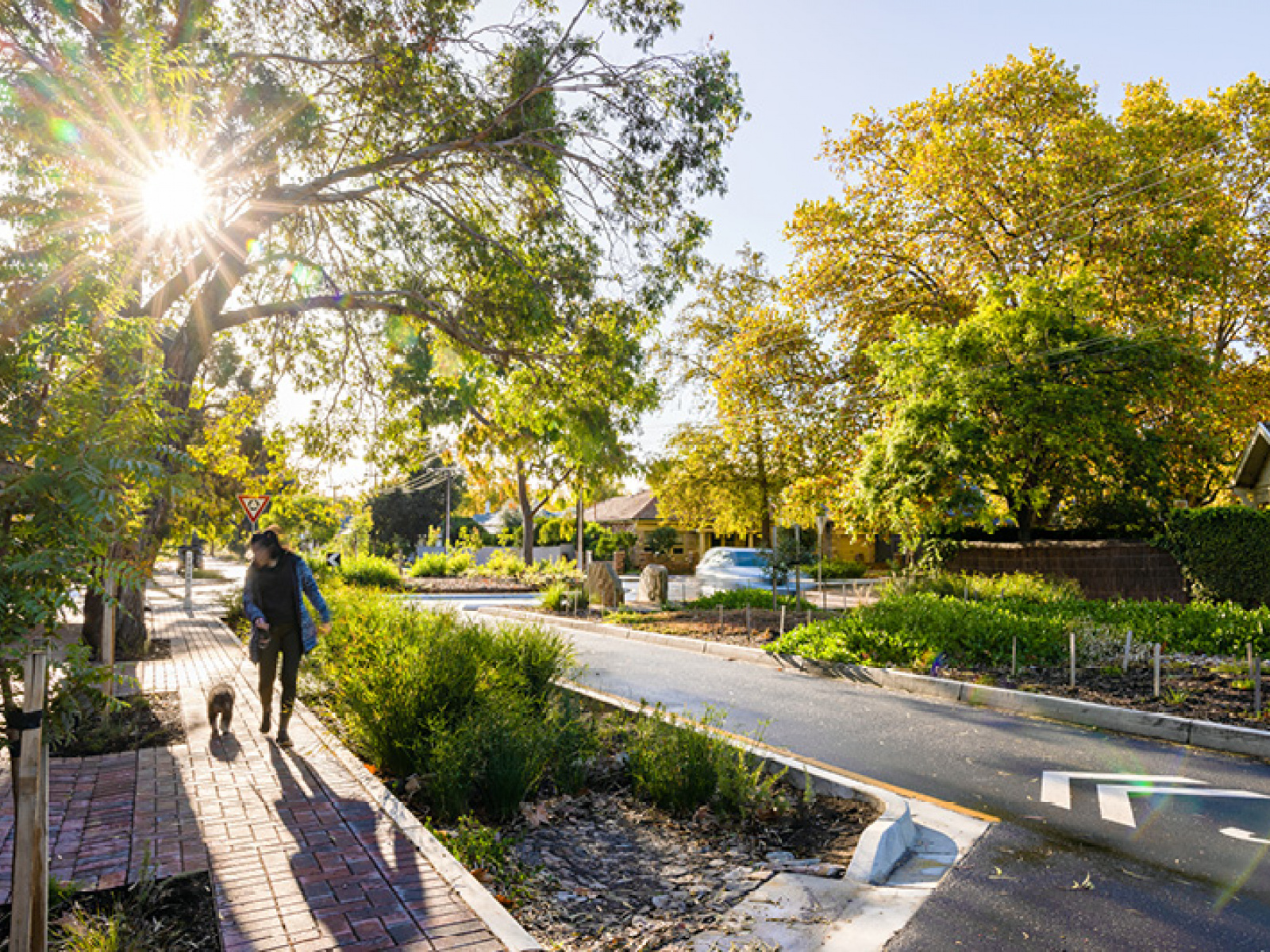 Projects | Look East